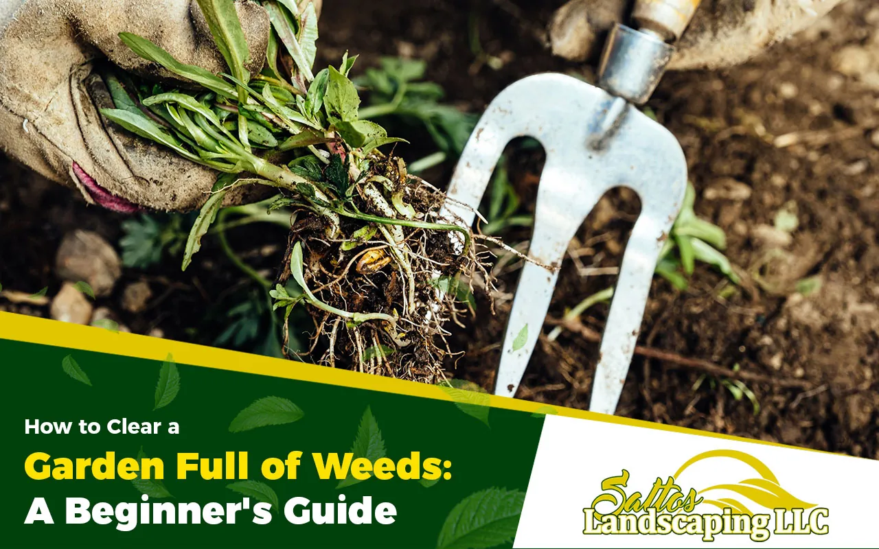 How to Clear a Garden Full of Weeds: Easy Steps