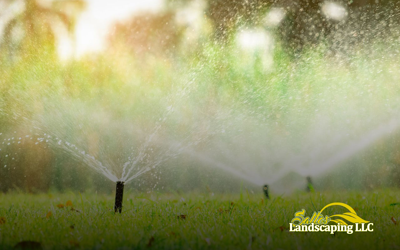 Essential summer landscaping tips for vibrant yards in Renton